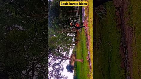 Learn 5 Basic Karate Kicks Shorts Lonewolf254 Cardio Fitness
