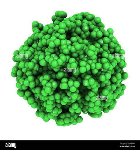Carbon Tetrachloride Ccl4 Carbon Tet Molecules Liquid Sphere Model