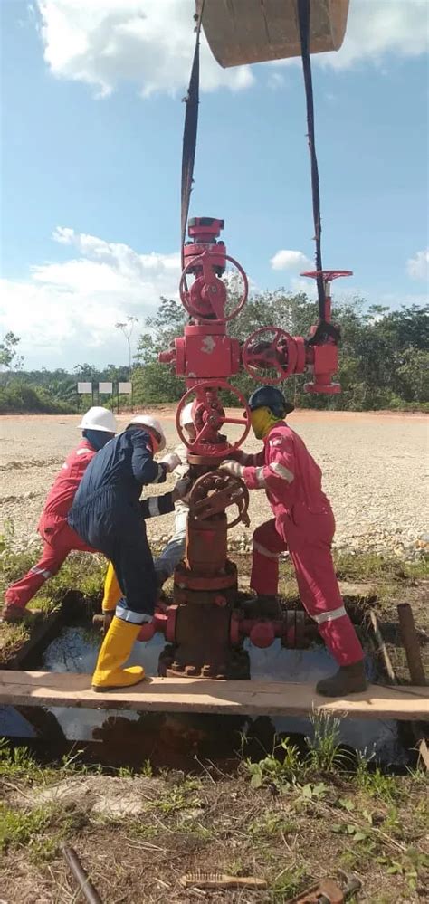 Wellhead And Christmas Tree Installation Services Services PT Borneo Mandiri Investment