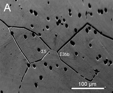 A A Sem Image Showing Preferentially Corroded Grain Boundaries And