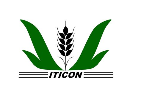 Iticon