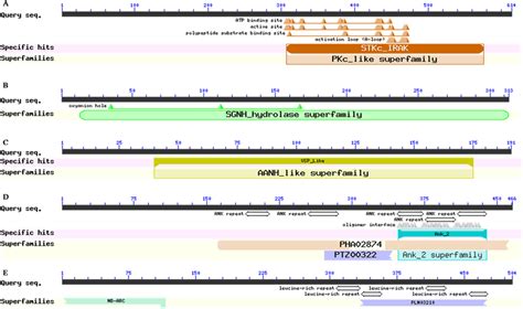 Predicted Functional Domains Of Selected Genes A Lrr B Gdsl C Usp D