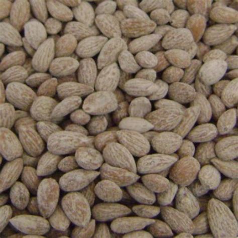 Amêndoa Salgada 500g Crocância E Sabor Dona Castanha