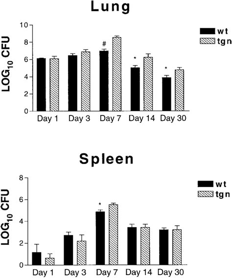 Fungal Burden In The Lungs And Spleens Of Naive Il 4 Ltgn Mice And