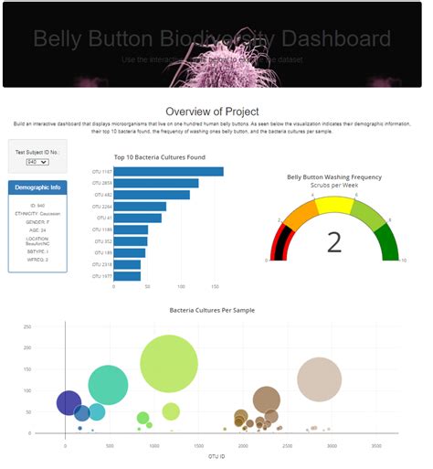 Github Meka1610belly Button Biodiversity