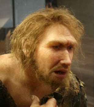 Top 10 Misconceptions About Neanderthals Listverse