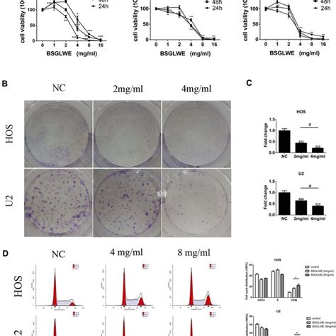 Bsglwe Inhibits Osteosarcoma Cell Proliferation In Vitro A Three