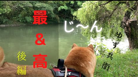 親分と子分の事情 Youtube