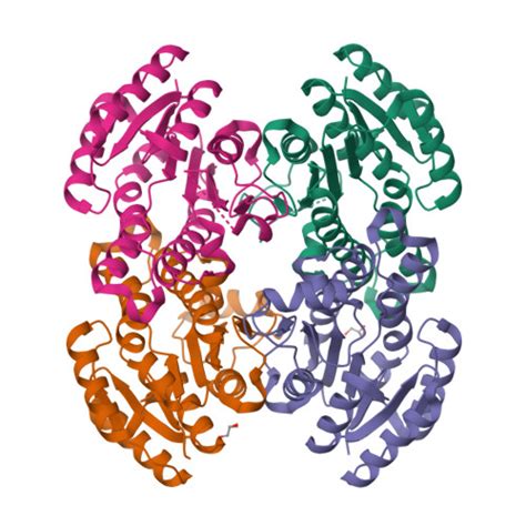 Rcsb Pdb 7caw Crystal Structure Of Bacterial Reductase