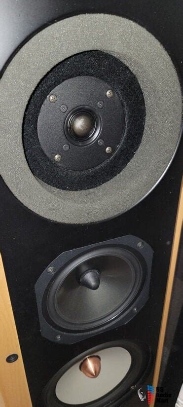 Von Schweikert Vr 7hse Reference Grade Full Range Floor Standing Speakers Photo 4920671 Us