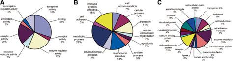 Functional Classification Of Identified Differentially Expressed