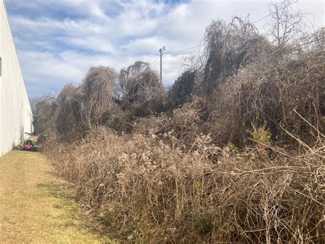 Marc Biedermann On Linkedin Compliance Maintenance Stormwater