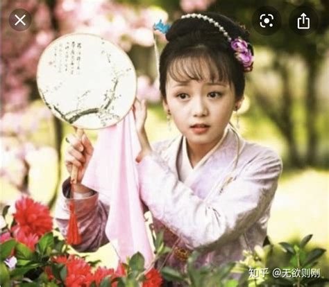 为什么宝钗扑蝶和黛玉葬花并列出现在红楼梦的同一回 知乎