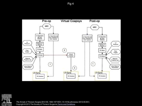 Patient Specific Finite Elementbased Analysis Of Ventricular Myofiber