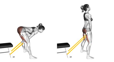 Band Pull Through Guide Muscles Worked Tips Athlemove