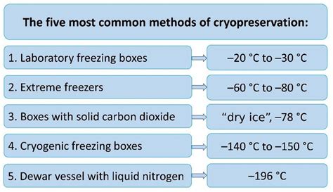 The Five Most Common Cryopreservation Methods And The Stated Ideal