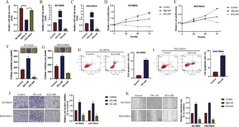 In Vitro Experiments Proved That Mir 523 3p Functioned As An Oncogene
