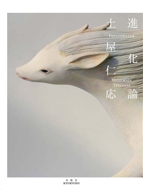 Phylogenesis Yoshimasa Tsuchiya Japanese Creative Bookstore