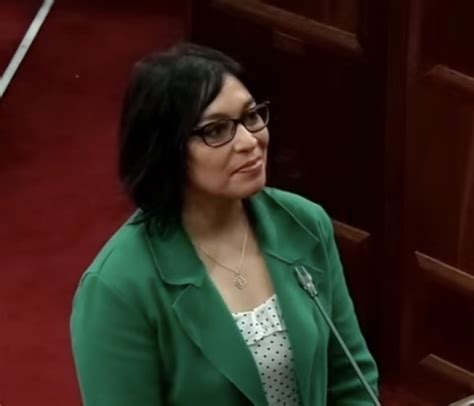Debe Por Sobre Todo Primar El Diálogo Democrático Y La Posibilidad De