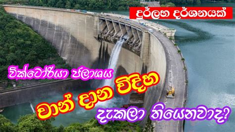 වික්ටෝරියා ජලාශය වාන් දමන අවස්ථාවක් Victoria Reservoir Spillage Youtube