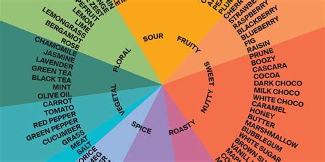 Coffee Flavour Wheel Free A2 Print Batch Coffee Club