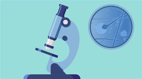 Laboratory Information For C Auris Candida Auris C Auris Cdc