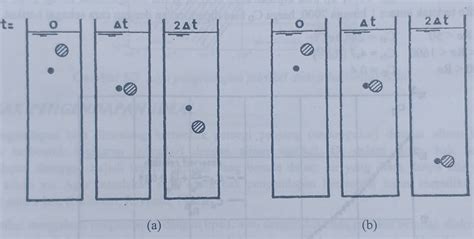 Sedimentasi 1 Gambar Bak Sedimentasi 1 Per Unit 41 Koleksi Gambar