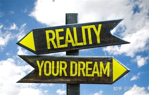 手握阳光绽放梦想 知乎