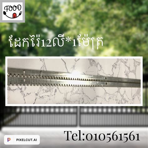 ម៉ូទ័រទ្វារបង1200kg Motor Fence Gate តំលៃ 350 00 ក្នុង ព្រែកអញ្ចាញ