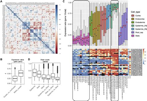 frontiers expression partitioning of duplicate genes at single cell