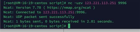 Pinpont 185 Only Jvm Data And There Is No Data · Issue 10322