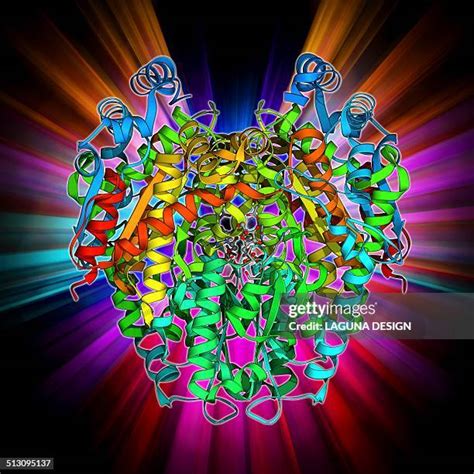 Isomerase Photos And Premium High Res Pictures Getty Images