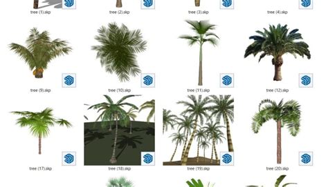 7261 Free Sketchup Trees Model Download 1 Sketchup Models For Free Download