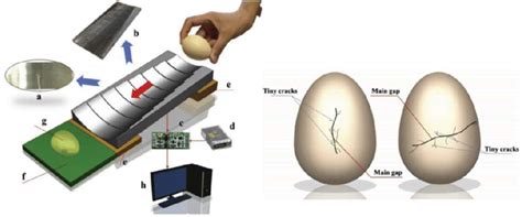 diagram of eggshell crack detection device jin et al 2015