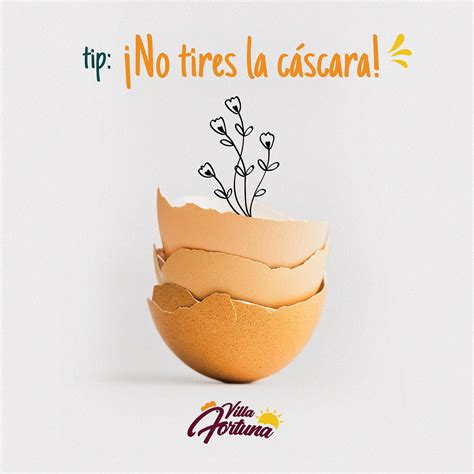 Villa Fortuna Hoy En El Día Mundial Del Medio Ambiente Te