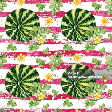 여름 음료와 건강한 음식을 위한 육즙이 많은 수박 매끄러운 패턴 메모장 커버 벽지 포장 포장 인쇄 배경 템플릿의 디자인을위한 수채화 그림 0명에 대한 스톡 벡터 아트 및