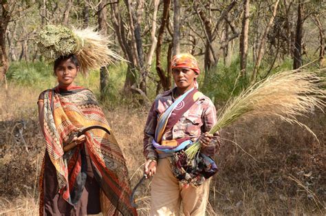 Ministry Of Tribal Affairs Govt Of India On Twitter Didyouknow⁉️
