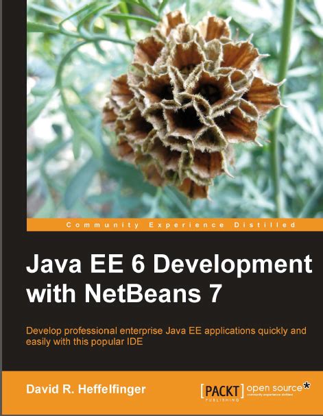 Java Ee 6 Development With Netbeans 7 ~ Free Downloadable Computer