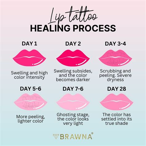 Lip Tattoo Healing Process Tattoo Healing Process Lip Healing Lip