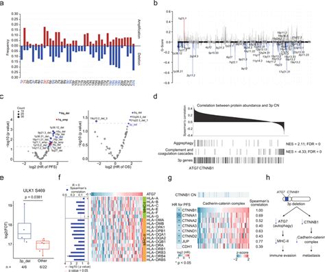 Somatic Copy Number Alteration Analysis In Trcc Cohort A Arm Level Scna