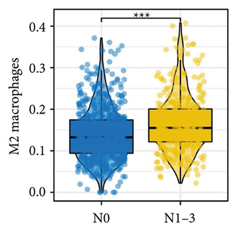 Exploration Of M2 Macrophages In Lung Cancer A Quantification Of M2 Download Scientific