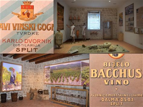 U Noći Muzeja Prvi Put Sudjeluje Muzej Vinogradarstva I Vinarstva