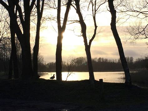 Evening Atmosphere Sunset Pond Free Photo On Pixabay Pixabay