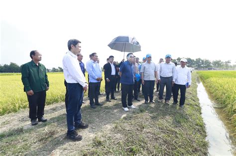 ຂ່າວສານກະສິກຳ ປ ຂ່າວສານກະສິກຳ ປ່າໄມ້ ແລະ ພັດທະນາ ຊົນນະບົດ