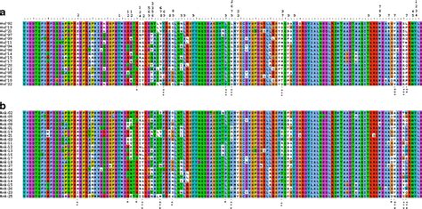 Polymorphisms In Amino Acid Sequence Of The Class I Mhc Peptide Binding