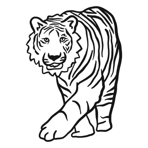 Diseño Png Y Svg De Doodle De Raya De Oreja De Hocico De Tigre Para