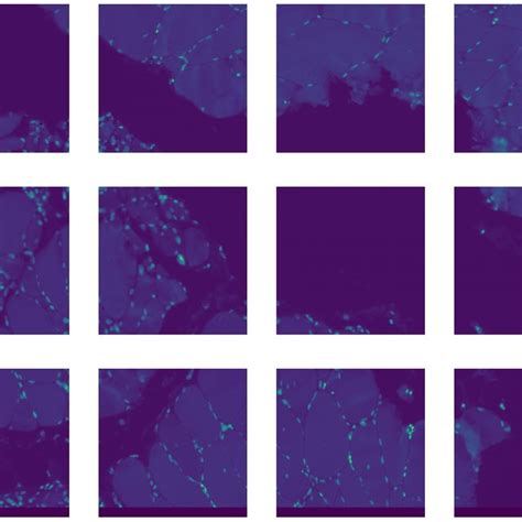 Autoencoder Post Processing App We Introduce The Autoencoder Labeled Download Scientific