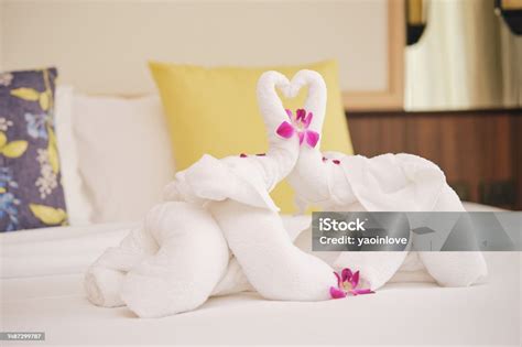 아름답게 접힌 깨끗한 흰색 목욕 수건은 허니문 스위트의 침대에 난초와 함께 코끼리 모양으로 접히는 천을 설정합니다 고급 호텔에 대한 스톡 사진 및 기타 이미지 Istock