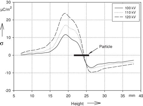 Profile Of The Charge Distribution On The Particle Contaminated Spacer Download Scientific