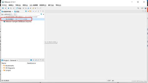 DBeaver使用MySQL Unknown database 10 10 或拒绝用户访问Access denied for